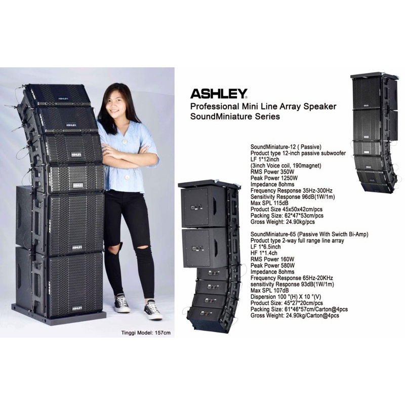 Jual 1 Set Mini line Array PASSIVE ASHLEY ORIGINAL | Shopee Indonesia
