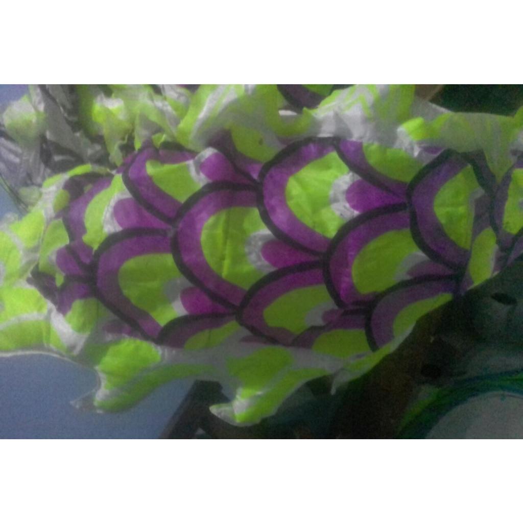 Jual Bahan Barongsai: Badan Naga Jadi, Bahan Kain Cetak Sablon Ukuran ...
