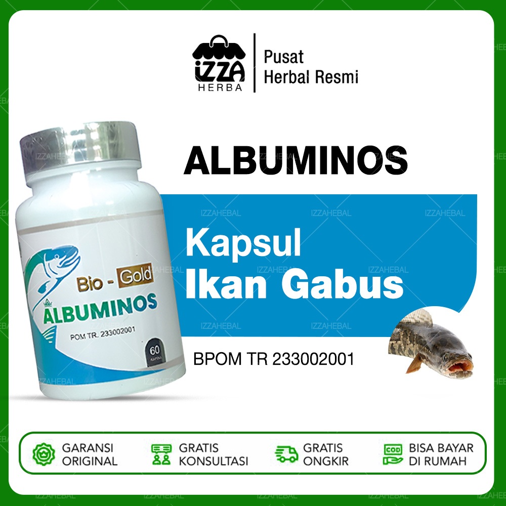 Jual Kapsul Ikan Gabus ALBUMINOS 60 KAPSUL - Albumin Original, Obat Luka Bakar & Bekas Luka ...