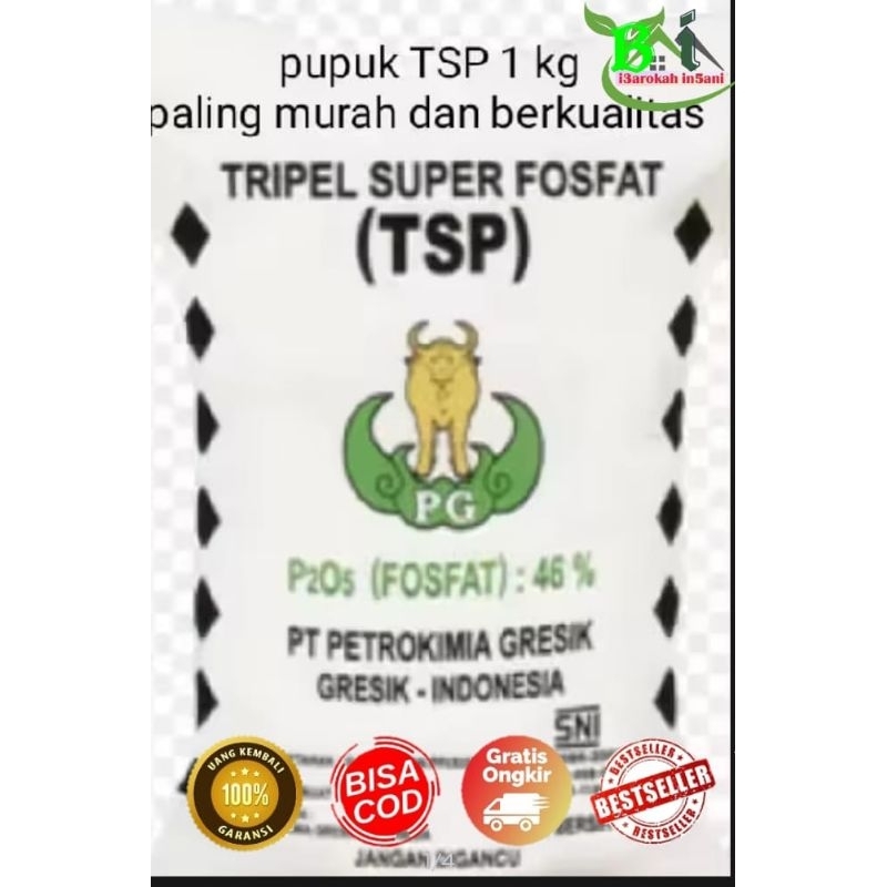 Jual pupuk TSP/ SP 36 (1kg ) pupuk penyubur tanah dan pemacu ...