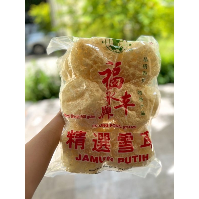 Jual JAMUR ES/JAMUR PUTIH/ JAMUR SALJU/DRIED SNOW FUNGUS 500 g | Shopee ...