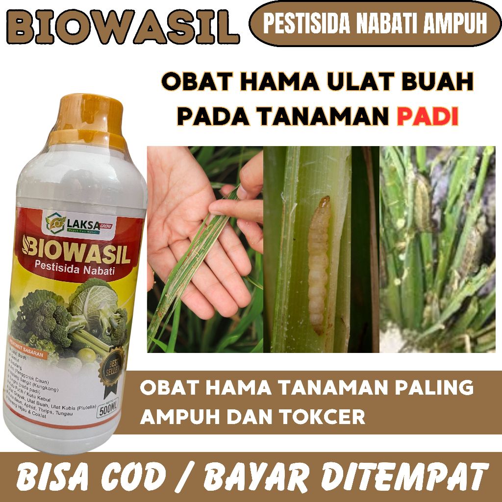 Jual Obat Hama Ulat Buah Pada Padi Biowasil 500 Ml Pestisida Pembasmi Hama Ulat Pada Tanaman ...