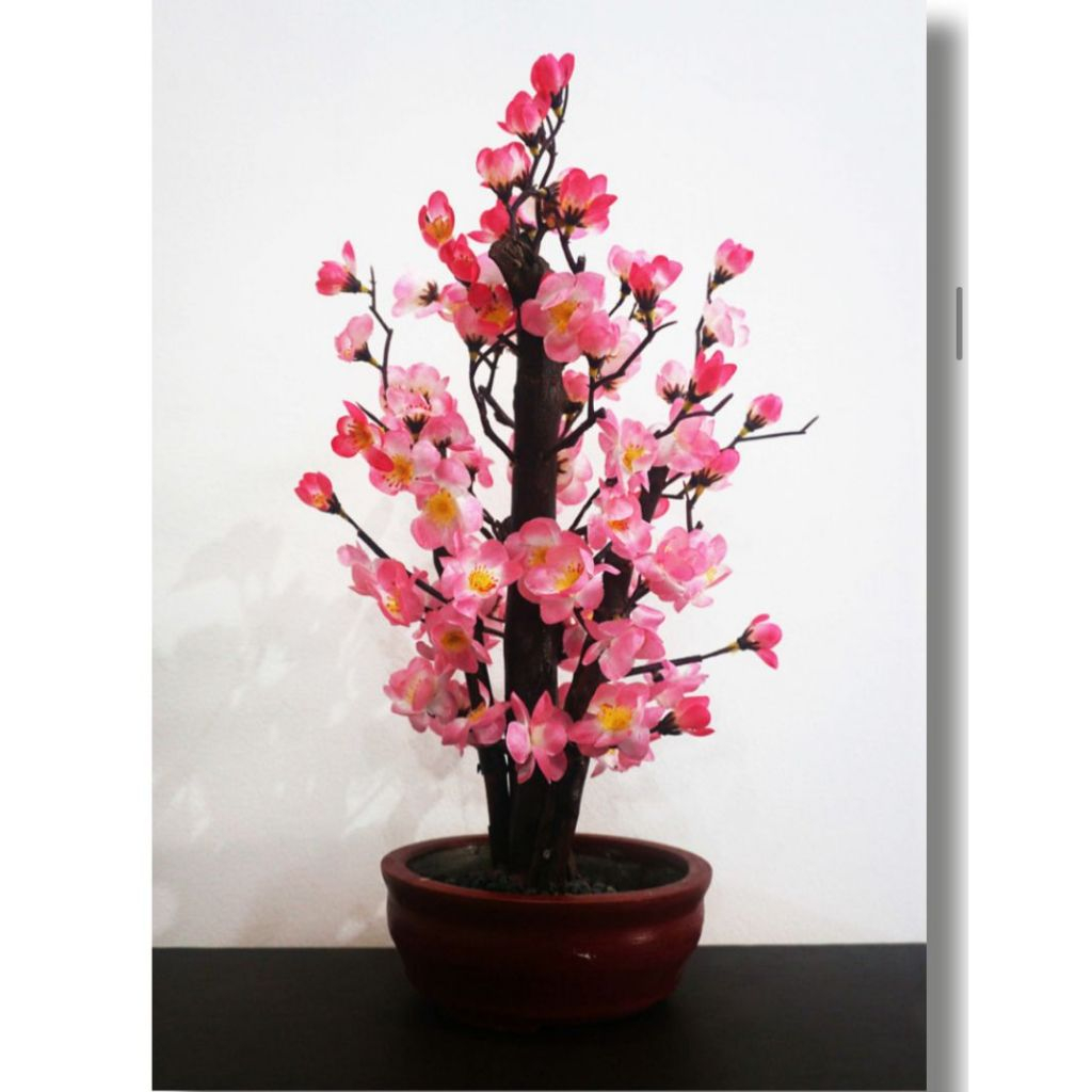 Jual Pohon Imlek / Angpao / Bunga Sakura / Pohon Meihua Bonsai Classic ...
