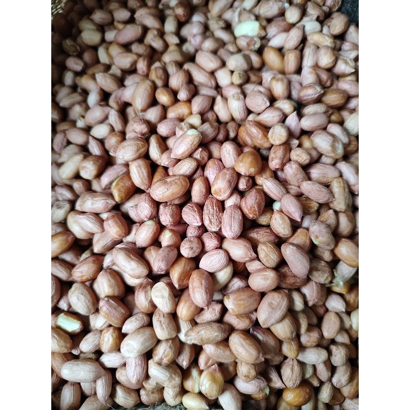 Jual KACANG TANAH BALI INDIA PUTIH 1kg | Shopee Indonesia