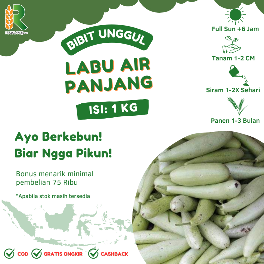Jual (1 KG) BENIH BIJI LABU AIR HIJAU PANJANG KUALITAS UNGGUL | Shopee ...
