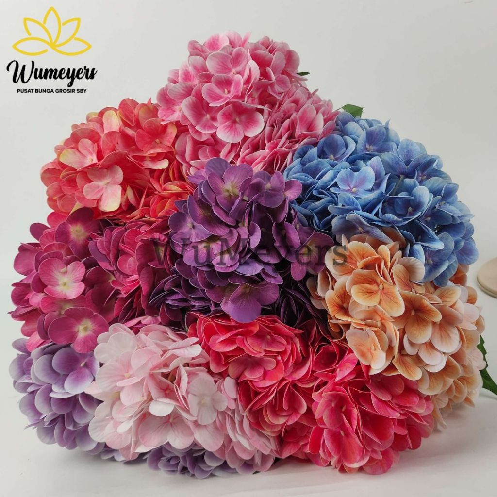Jual WM BUNGA HORTENSIA HYDRANGEA V3 LATEX CABANG 5 - BUNGA UNTUK ...