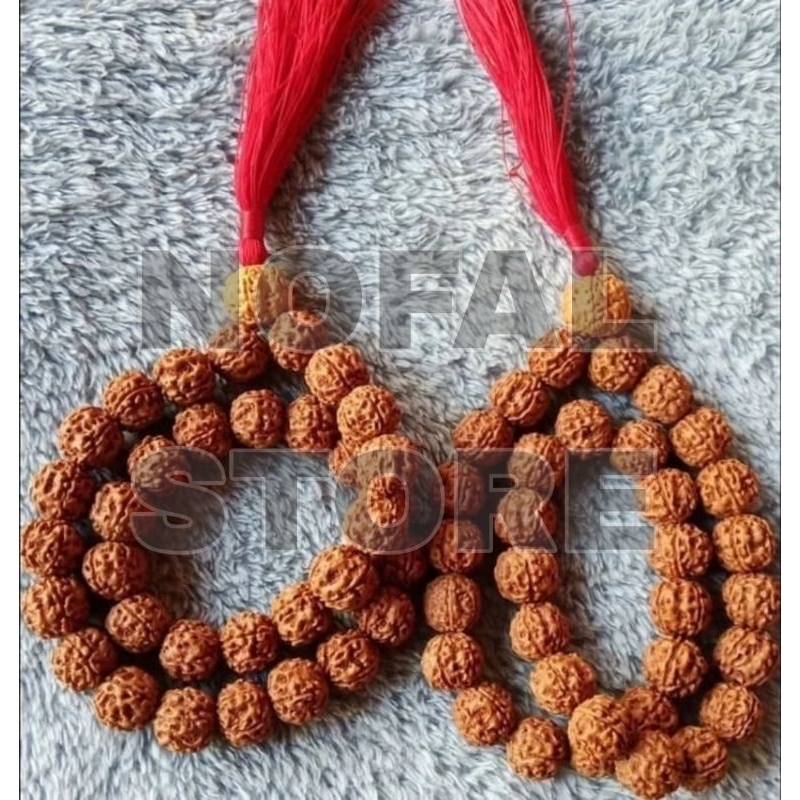 Jual Tasbih 33 Jenitri Rudraksha Atau Gelang Rudraksha Jenitri Genitri ...
