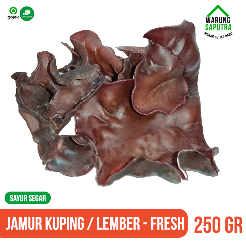 Jual Jamur Kuping / Lember Segar 250 g | Shopee Indonesia