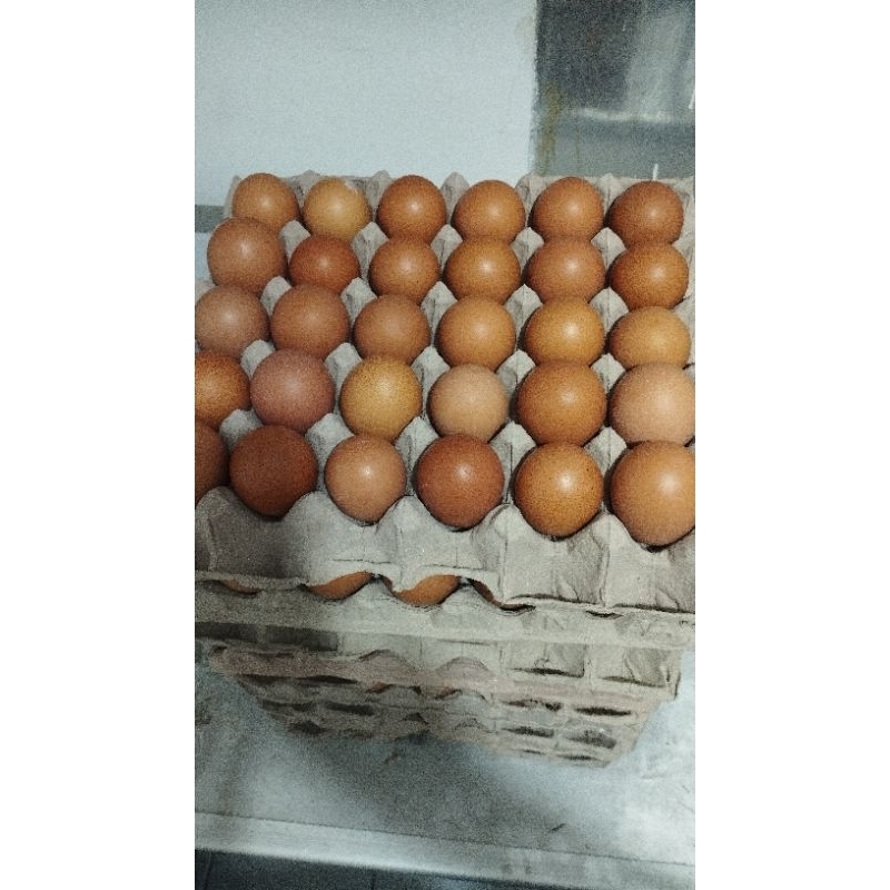 Jual Telur ayam negeri 1 kg ready dan fresh | Shopee Indonesia