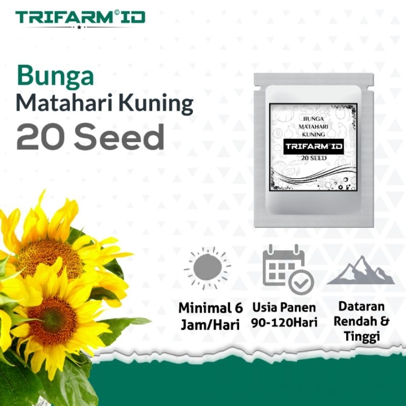 Jual TRIFARM 20 Biji Benih Bibit Bunga Matahari Kuning Kemasan Sachet Kraft | Shopee Indonesia