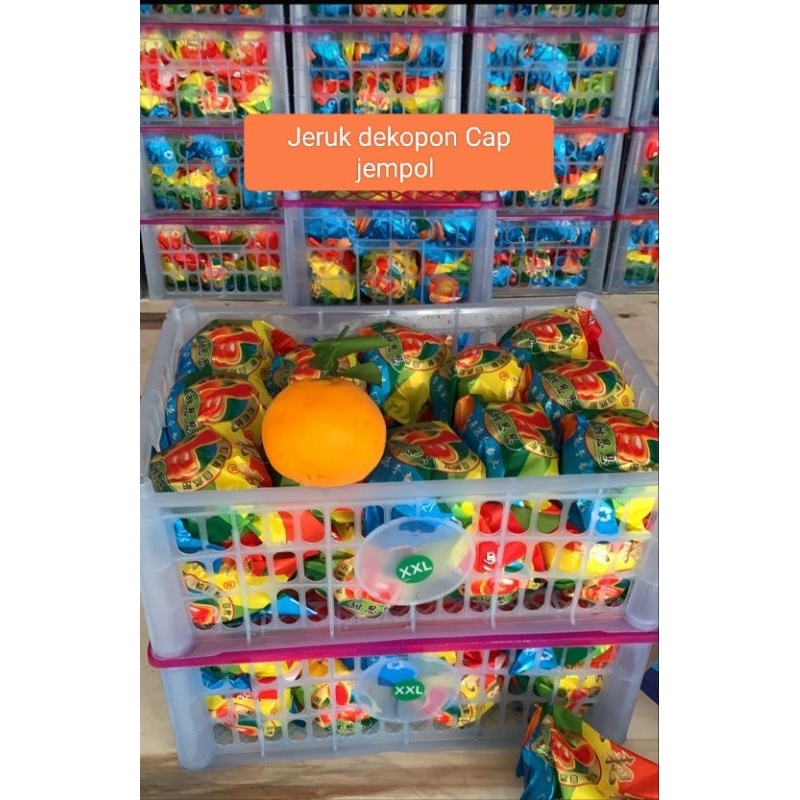Jual Jeruk dekopon jeruk sumo Chinjuan papakan 1 keranjang 6.5kg buah ...