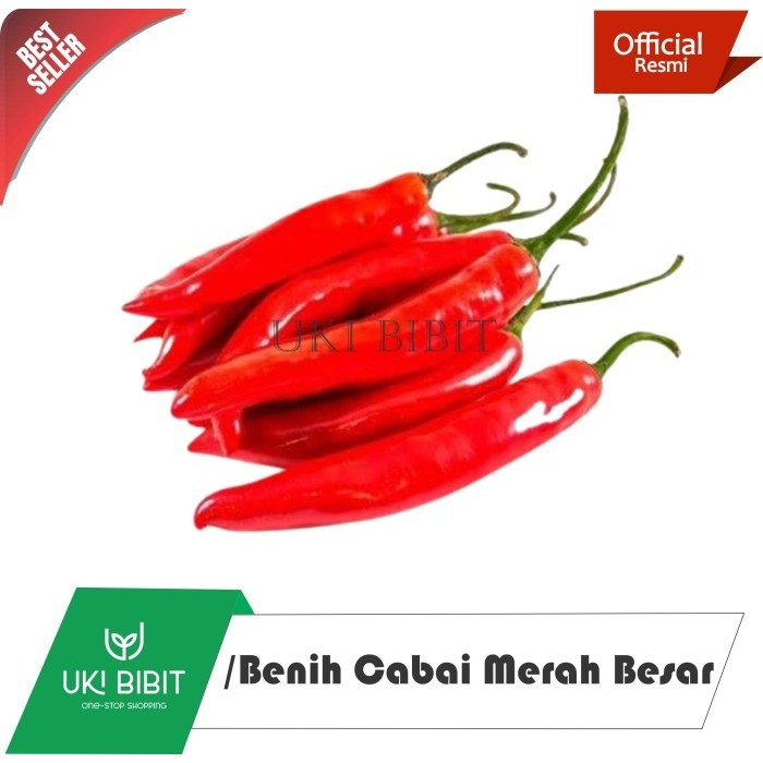 Jual ( 100 Butir ) Benih Cabai Merah Besar | Shopee Indonesia