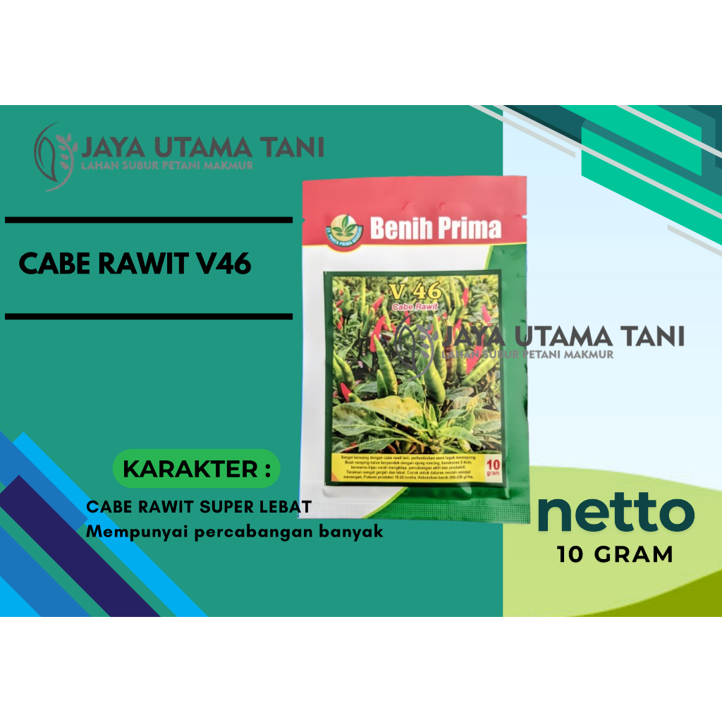 Jual CABE RAWES / CABE 46 / BENIH CABE RAWIT HIJAU V 46/ RAWES 10 gram ...