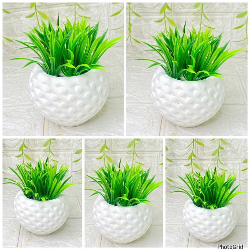 Jual POT MINI SEMEN SET BUNGA SEGRASS ARTIFICIAL AESTHETIC / POT SEMEN ...