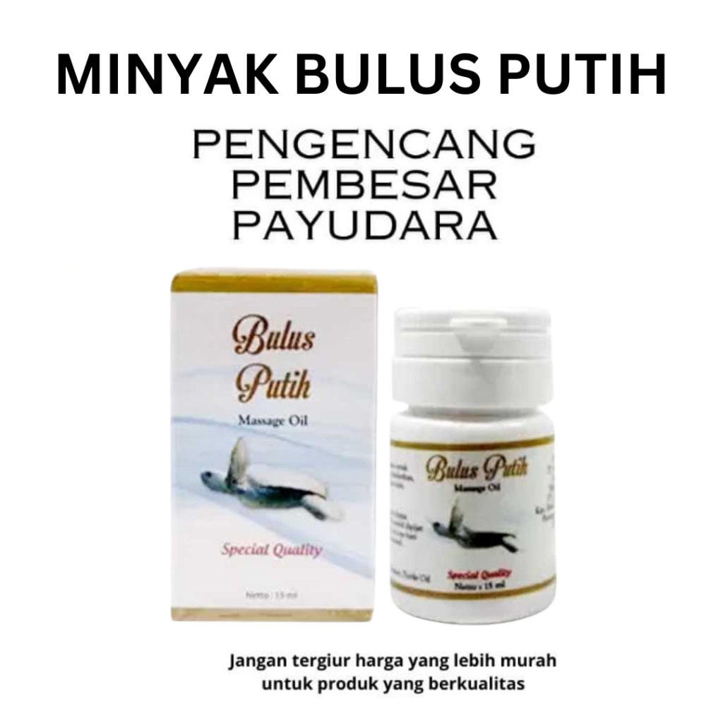 Jual Minyak Bulus Putih BPOM Asli Pengencang Payudara dan Pemutih Kulit ...