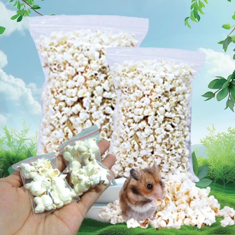 Jual POPCORN MINI - Snack Hamster Jagung Makanan Hamster Camilan ...