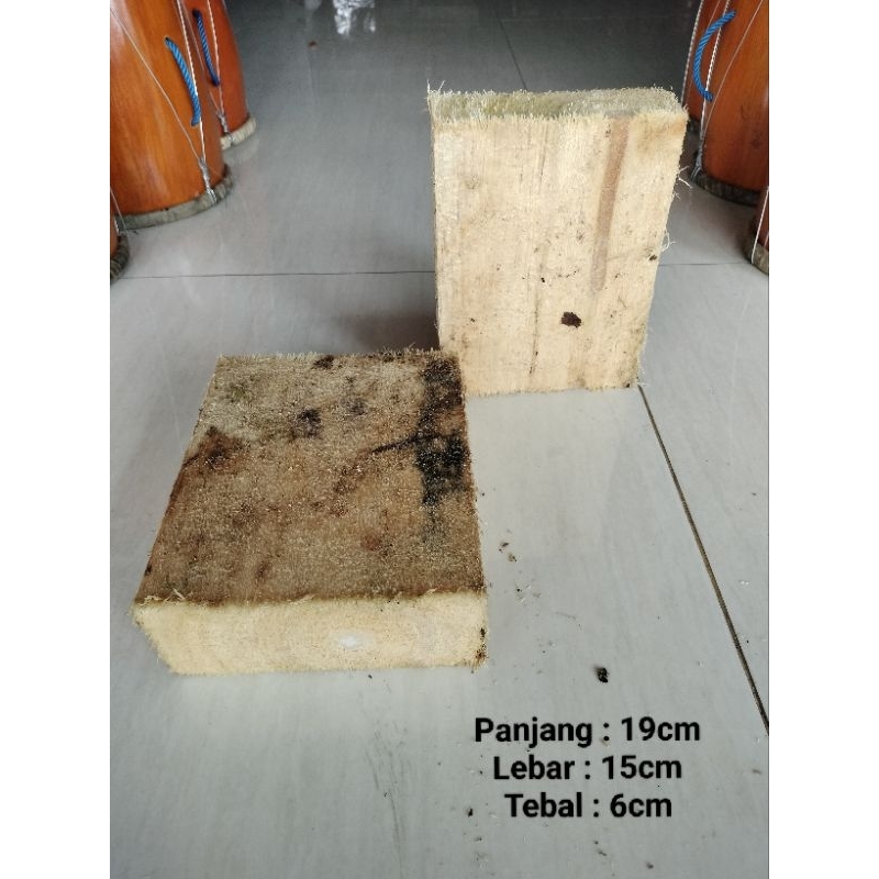Jual Bahan baku ganongan/kayu dadap cangkring/Bonus hidung ganong ...
