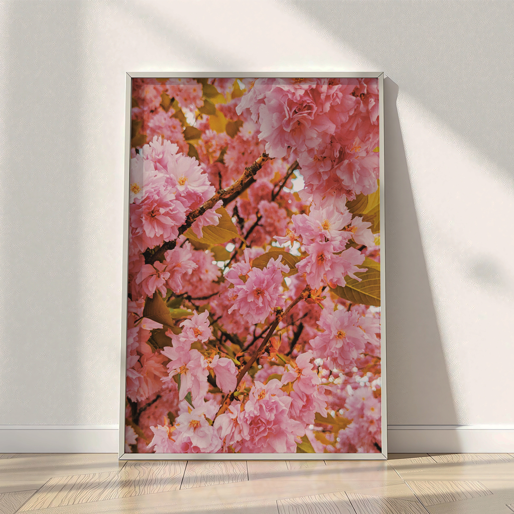Jual Poster Bunga Sakura Aesthetic - Hiasan Dinding Minimalis Modern ...