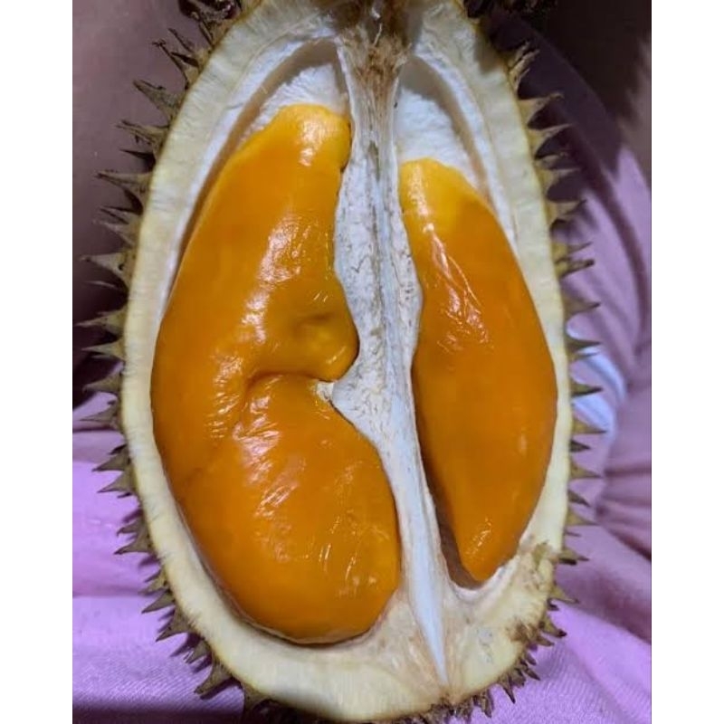 Jual Buah Lai Pekawai Kalimantan | Shopee Indonesia