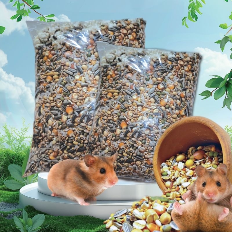 Jual HAMSTER PREMIUM MIX 1 KG - Makanan Hamster FULL BIJI BONUS POPCORN ...