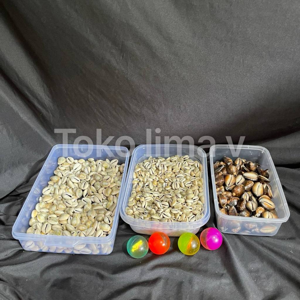 Jual 1 Set Bola Besar Uk 4cm Bekel + Kerang Kuwuk Kewuk Biji Congklak ...
