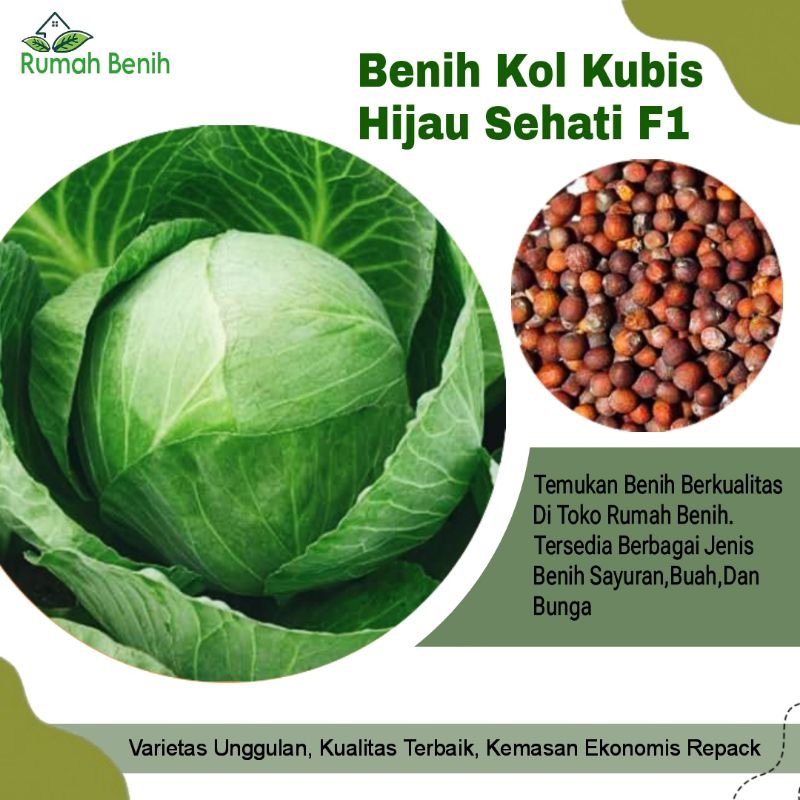 Jual Benih Kol Kubis Hijau Sehati F1 / Bibit Benih Kol Hijau / Biji ...