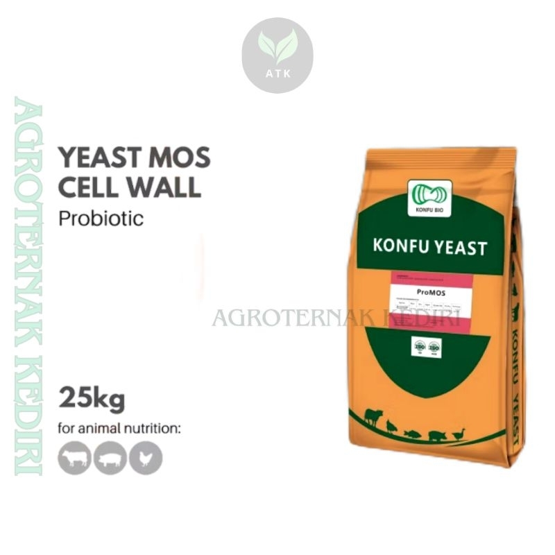Jual Yeast Powder Probiotik 1kg - Saccaromyches Ragi Powder Feed Grade ...