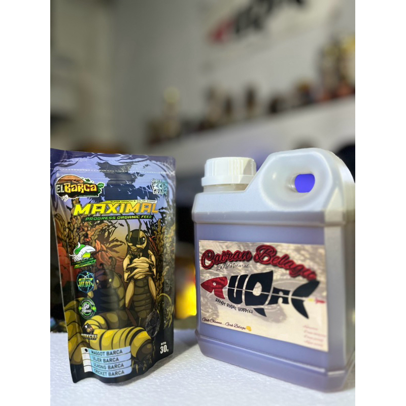 Jual Paket Progress Bunga Maggot | Shopee Indonesia