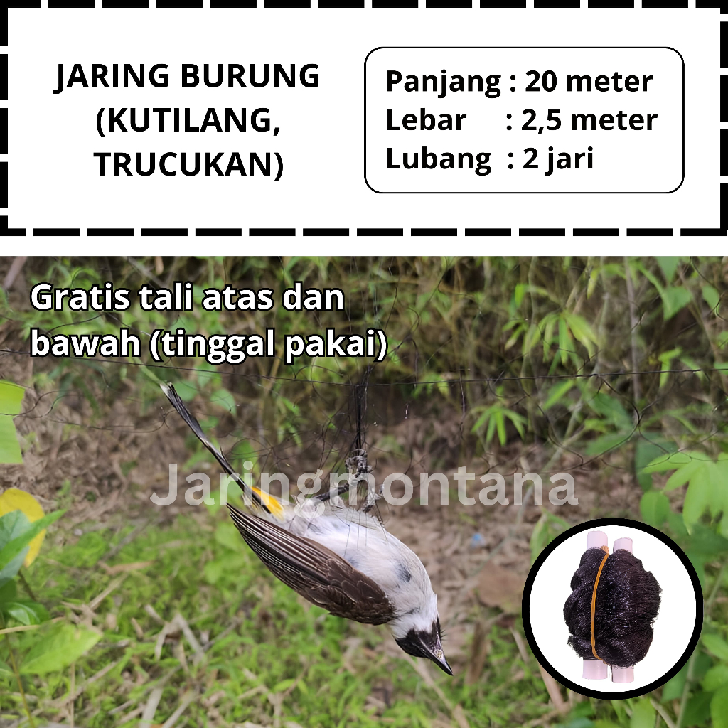 Jual PIKAT JEBAKAN BURUNG KUTILANG JARING BURUNG KUTILANG PIKAT BURUNG ...