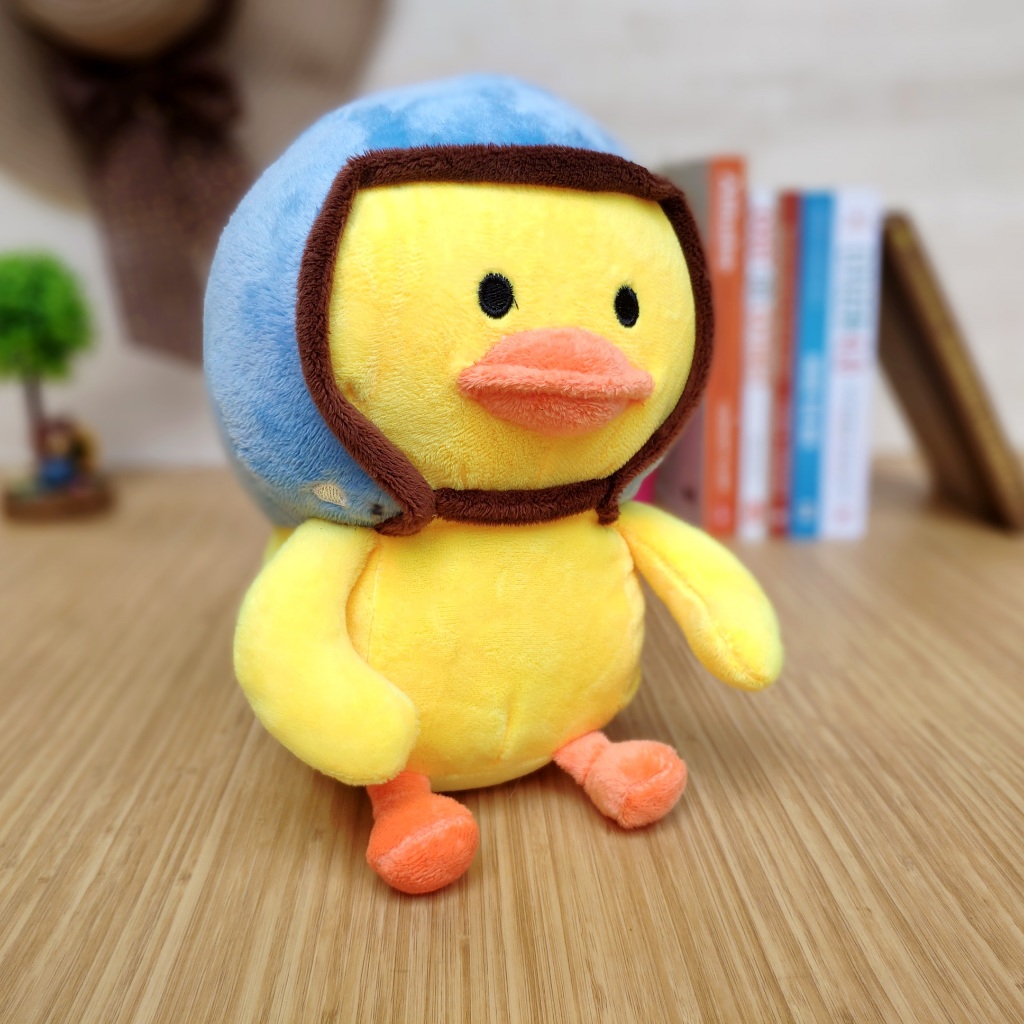 Jual Boneka Bebek Lucu Berbagai Aksesoris | Bebek Syal Bebek Helm untuk ...