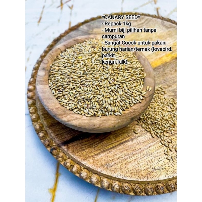 Jual Kenari seed 1kg bersih Canary seed 1kg Kenari sit 1kg bersih tanpa ...