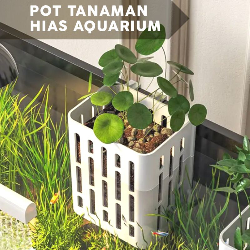 Jual pot tanaman hias aquarium hidroponik pot box isolasion | Shopee ...