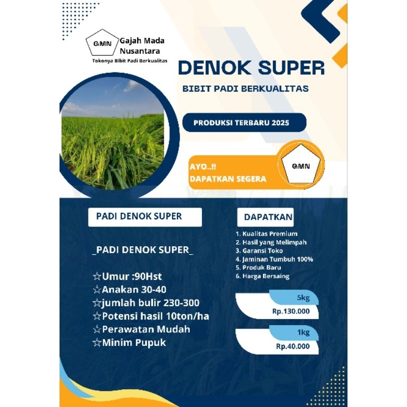 Jual Padi Denok Super 1kg | Shopee Indonesia