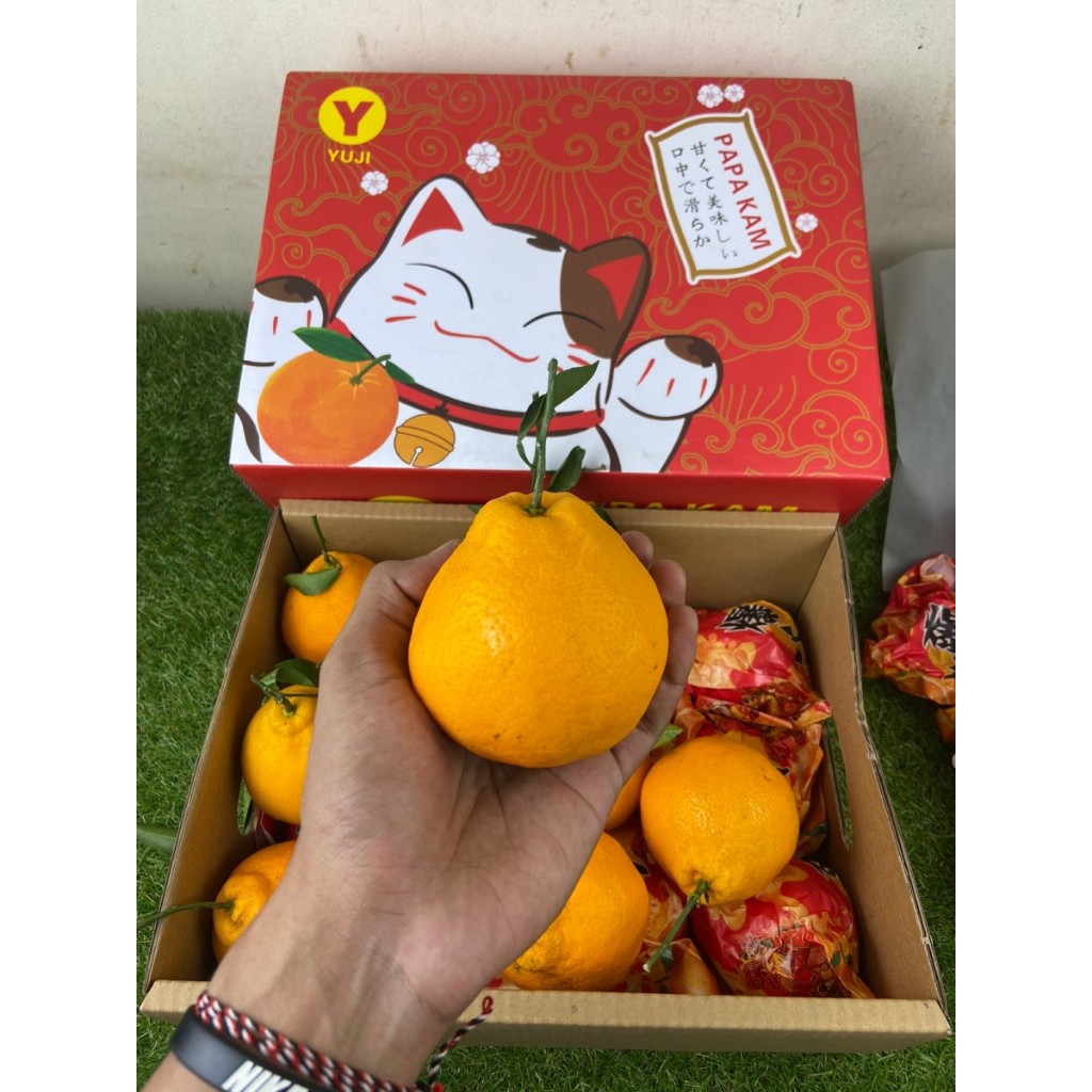 Jual Jeruk Dekopon Yuji Papakam 1 Box 4 Kg | Shopee Indonesia