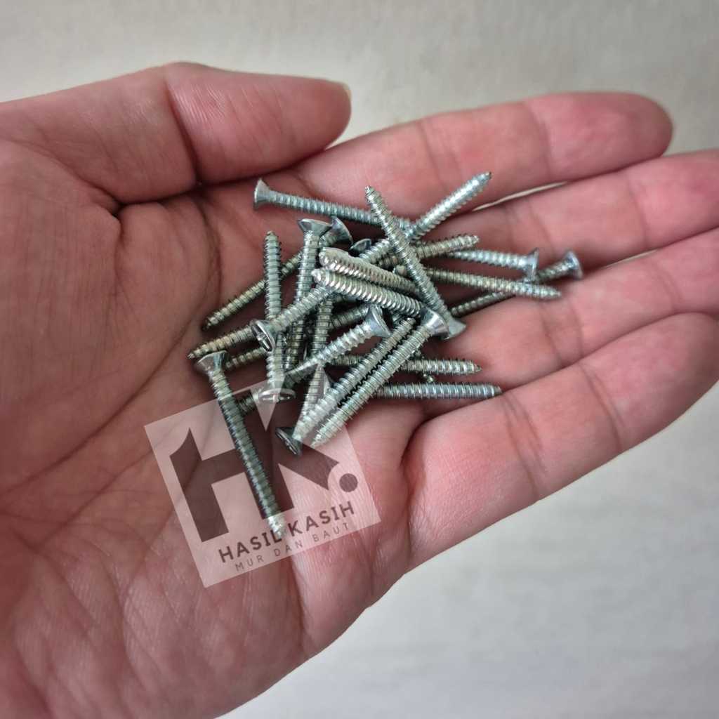 Jual Screws / Skrup / Sekrup Tapping Kayu JF(+) kepala #6 Putih [Eceran ...