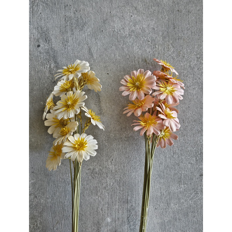 Jual dried gerbera flower | Shopee Indonesia