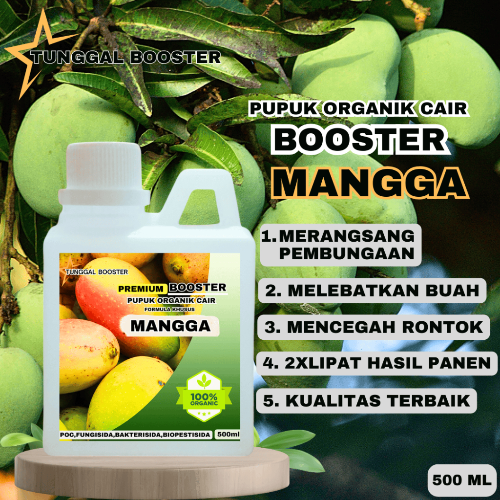 Jual POC Pupuk Organik Cair Tanaman Mangga, Booster Pelebat dan Perangsang Buah Mangga Premium ...