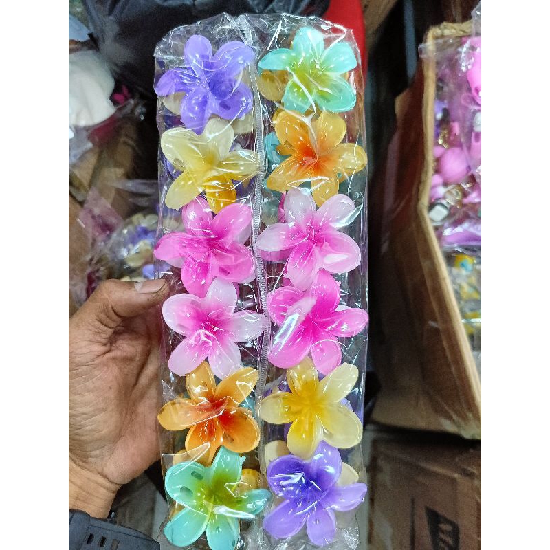 Jual (ISI 12 PCS) JEPITAN RAMBUT BUNGA KAMBOJA 6 CM | Shopee Indonesia