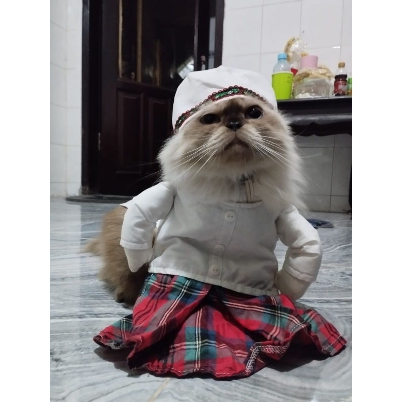 Jual Pak Ustad Chiio ( + ADMIN ) | Shopee Indonesia