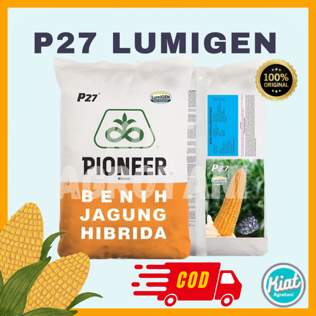 Jual Benih Jagung Pioneer LUMIGEN P27 kemasan 1KG | Shopee Indonesia