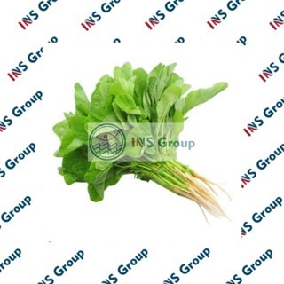 Jual Bayam 1 ikat / Sayur Sayuran Bayam Segar | Shopee Indonesia