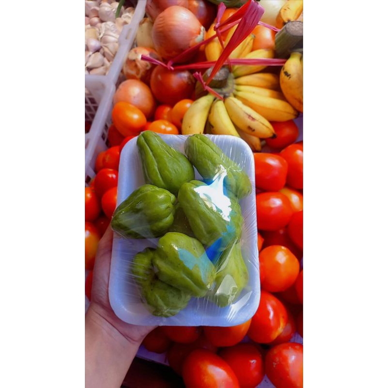 Jual Labu kecil / labu lalap | Shopee Indonesia