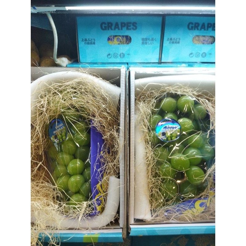 Jual Anggur shine muscat rrc gif box | Shopee Indonesia