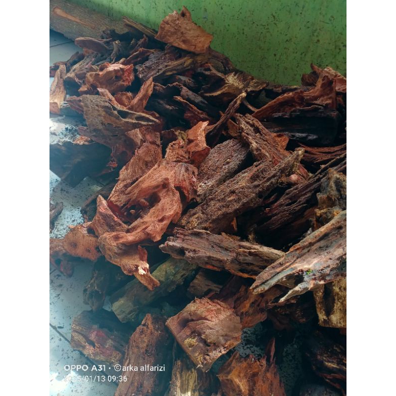 Jual kayu rentek hiasan aquarium dekorasi aquascape | Shopee Indonesia