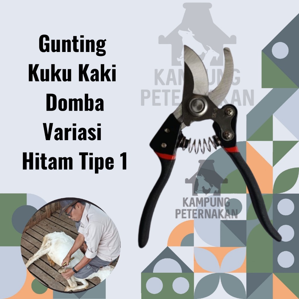 Jual Gunting Kuku Hitam Tipe 1 Untuk Ternak Domba & Kambing Premium ...