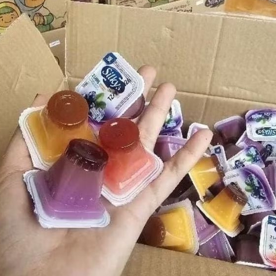 Jual Silky Jelly Pudding Mix Fruit Kemasan 1Kg | Shopee Indonesia