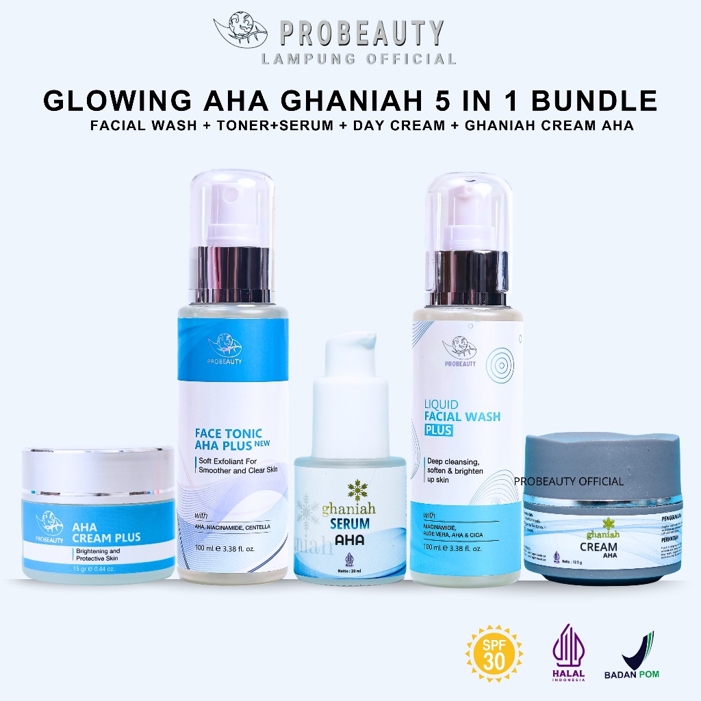 Jual Paket Aha Ghaniah Probeauty Skincare Perawatan Wajah Cream ...