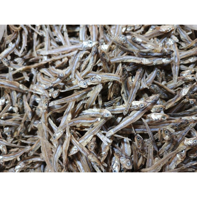 Jual Ikan Teri Tawar Bada Balang Padang Kualitas Super | Shopee Indonesia