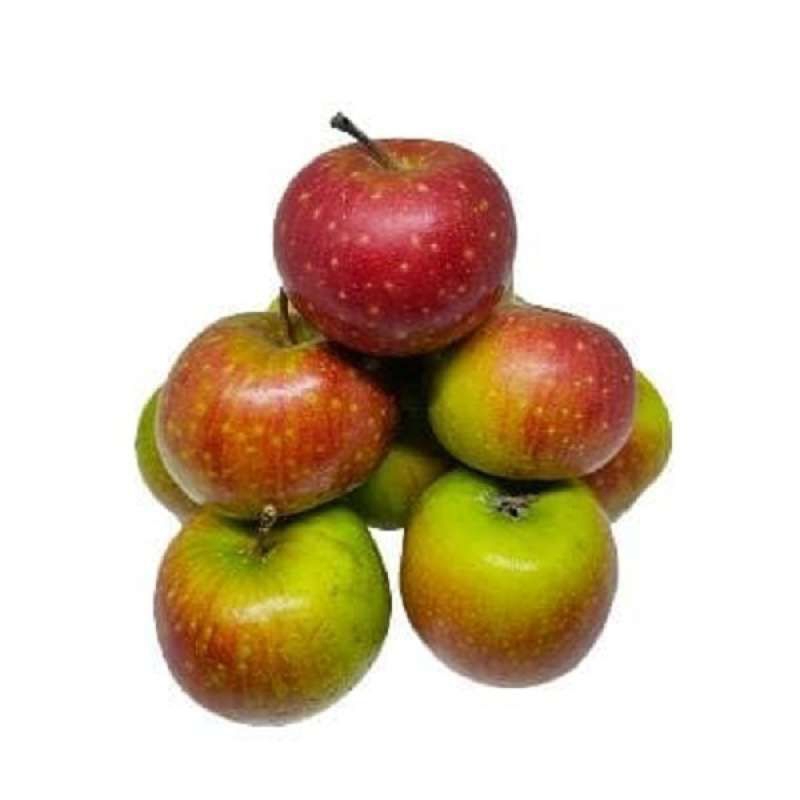 Jual Buah Apel Malang Fresh/Apel Malang 1kg | Shopee Indonesia