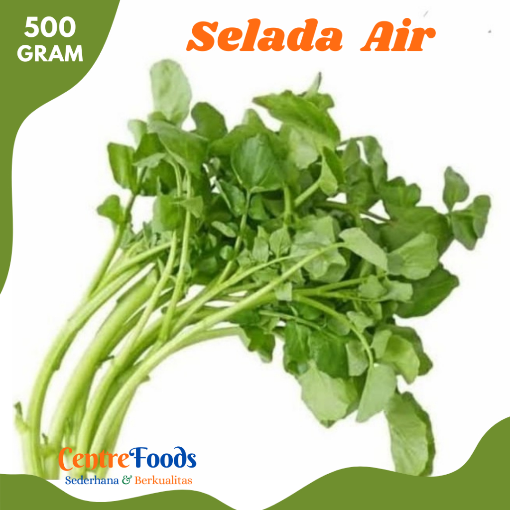 Jual SELADA Air - Sayur Salada Jembak Fresh | 500gr [ Harga Per 0,5 Kg ...